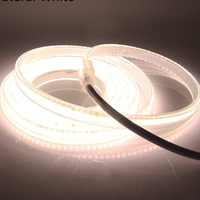 Ruban LED COB 220V Recoupable 50M IP65 432LED/m - Silamp